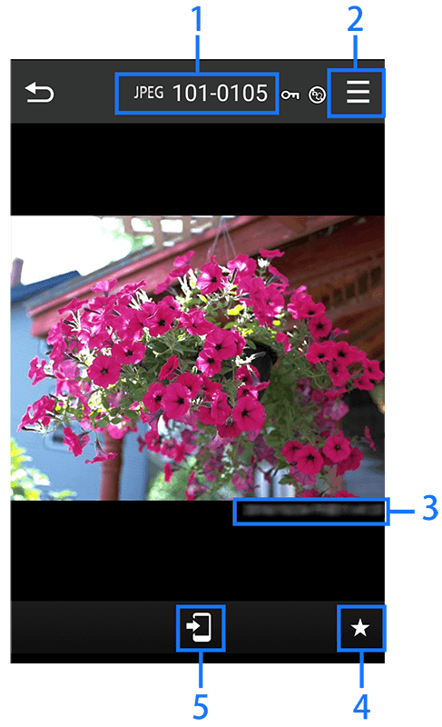 LUMIX Sync (Android/iOS app) - Digital Camera - | Support | Panasonic